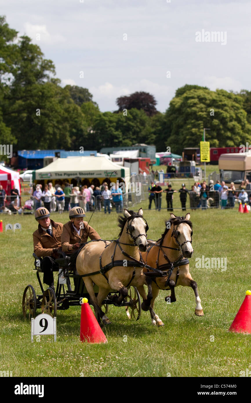 Miniature horse cart hi-res stock photography and images - Alamy