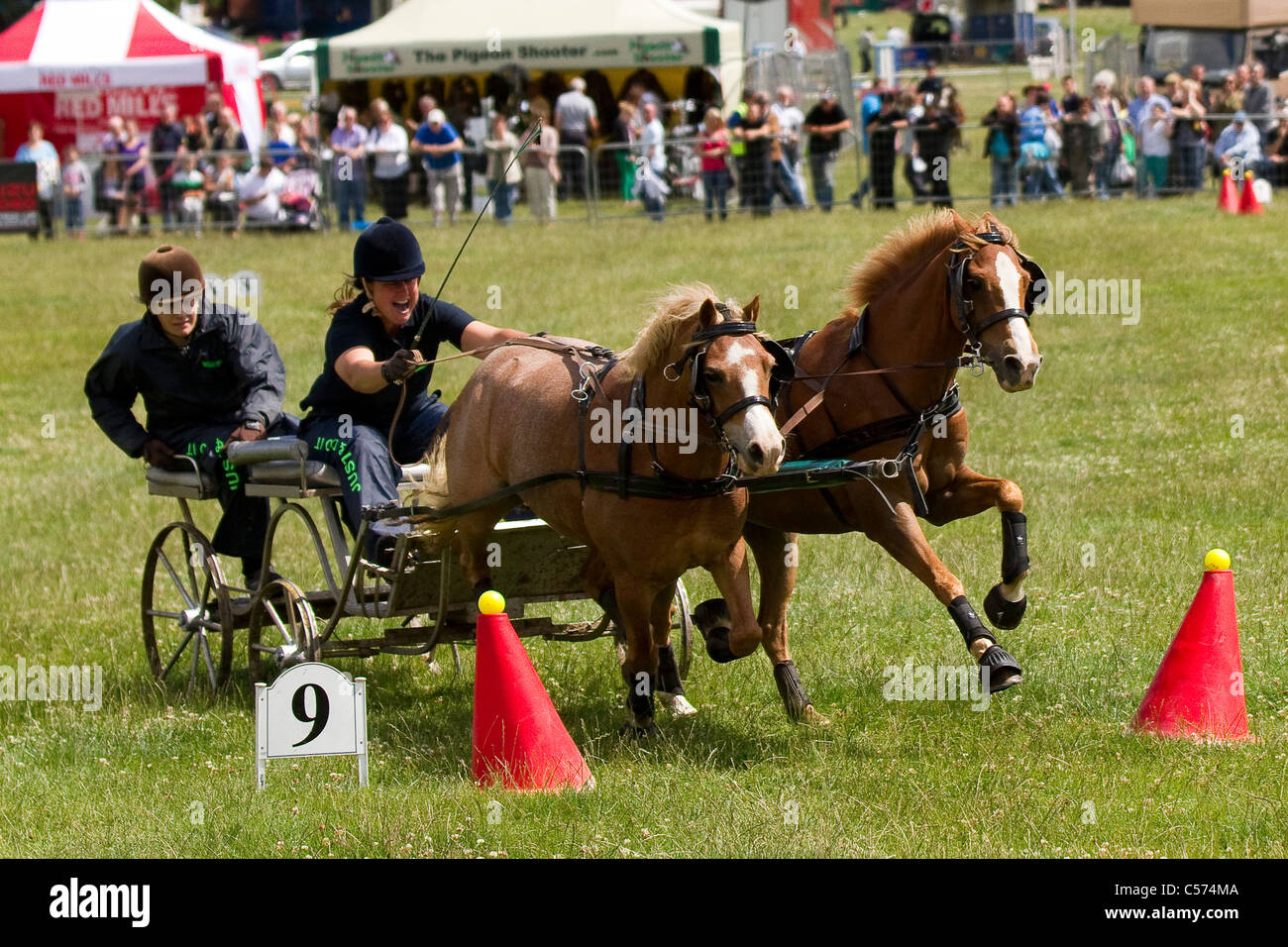 Scurry Racers at Raby Castle Game & Country Fair, Staindrop, Durham, UK ...
