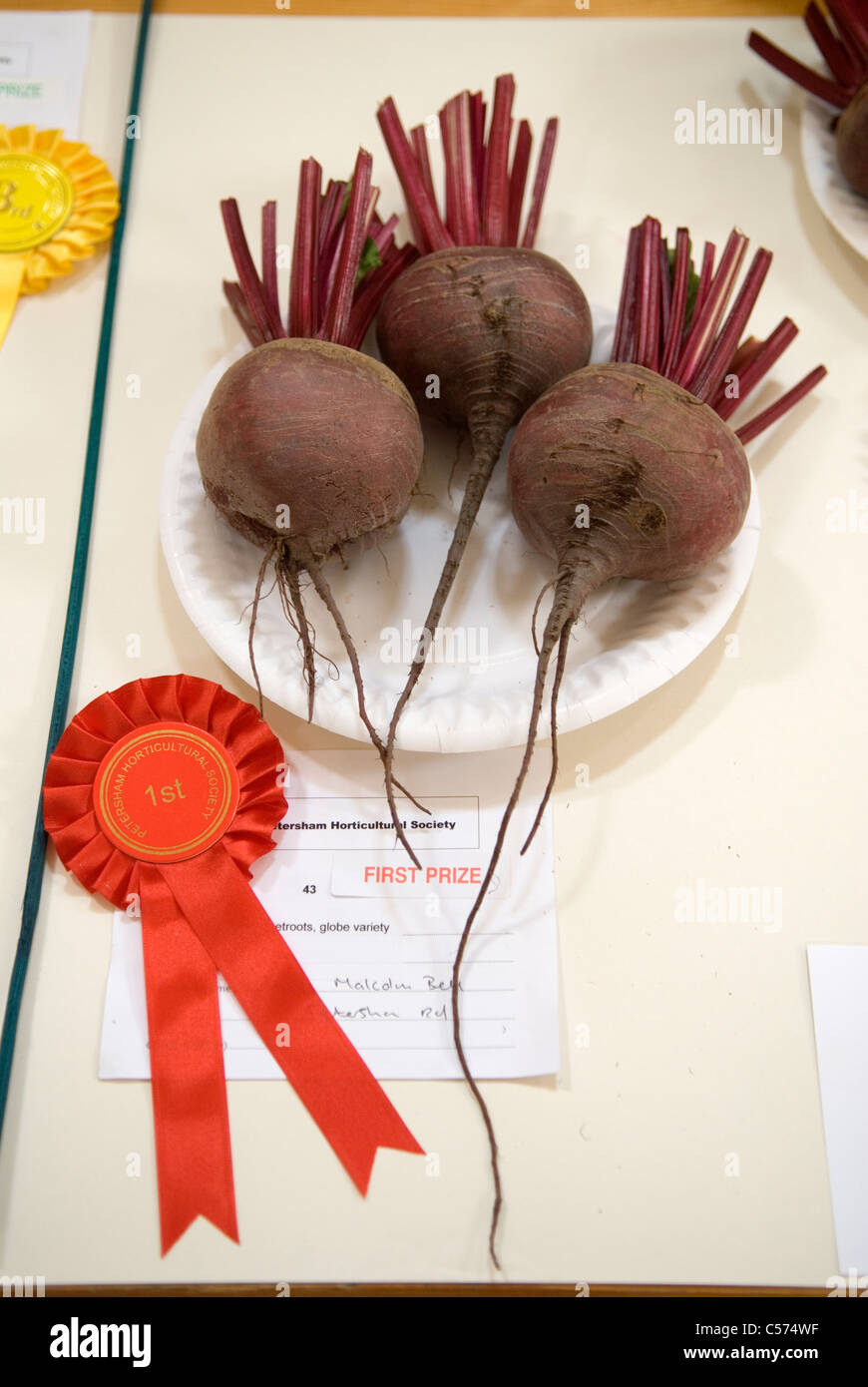 First prize certificate rosette Petersham village fete and flower ...
