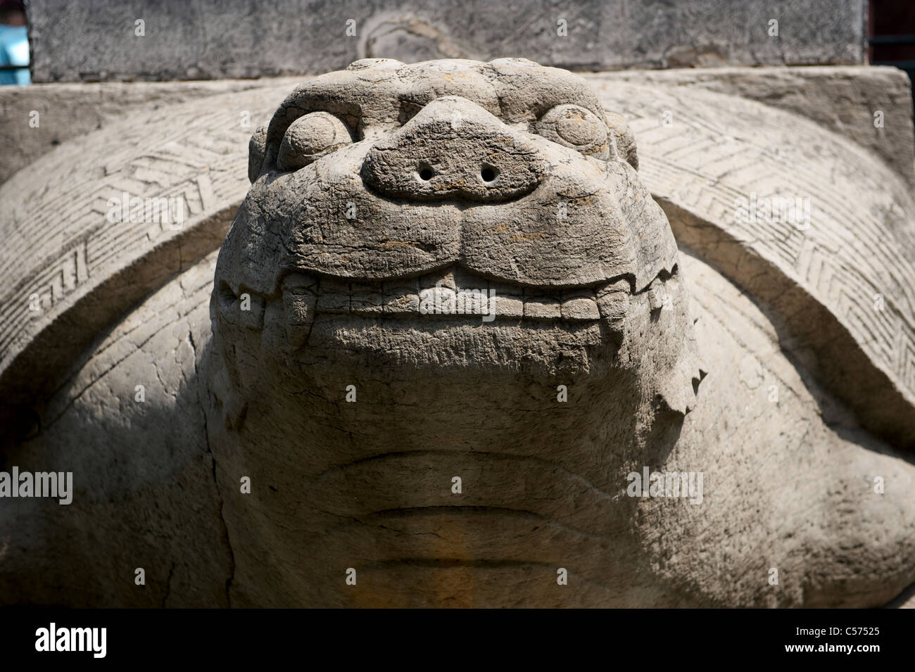 Tortoise Temple High Resolution Stock Photography and Images - Alamy
