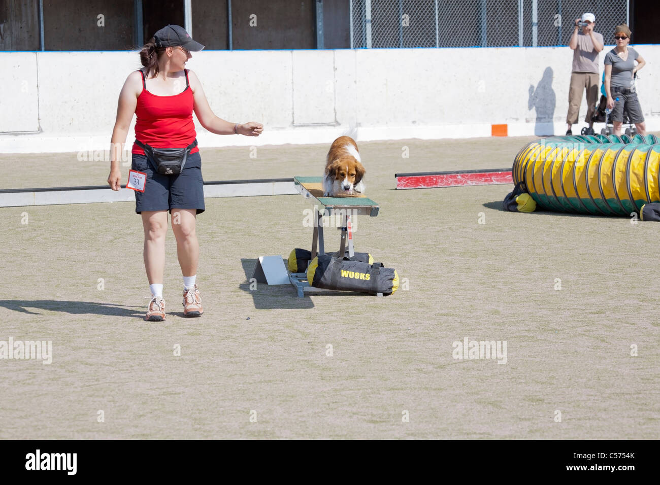 dog agility competition Stock Photo - Alamy