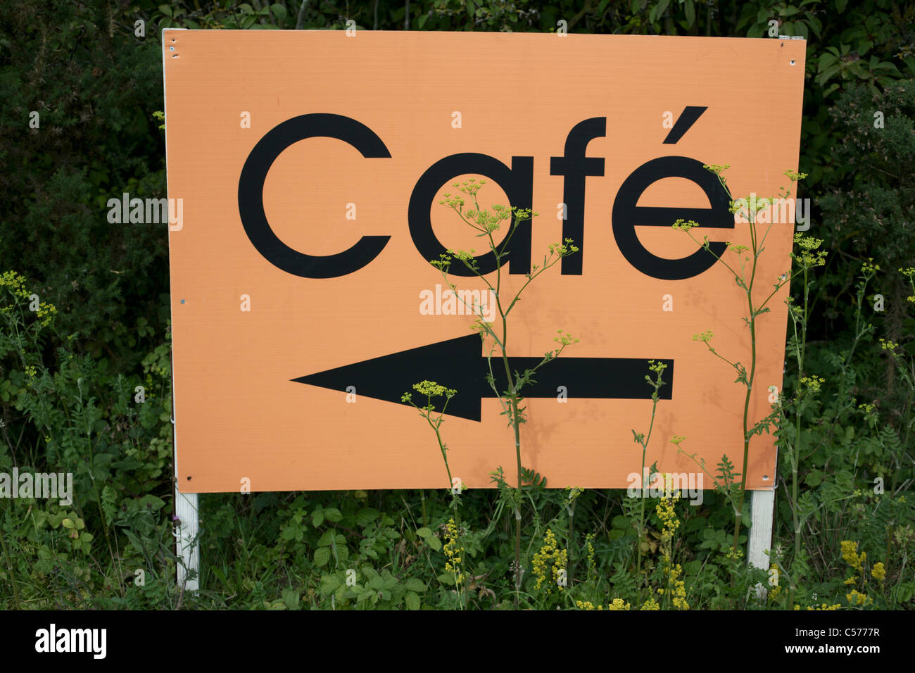 Embellished Arrow Facing Left