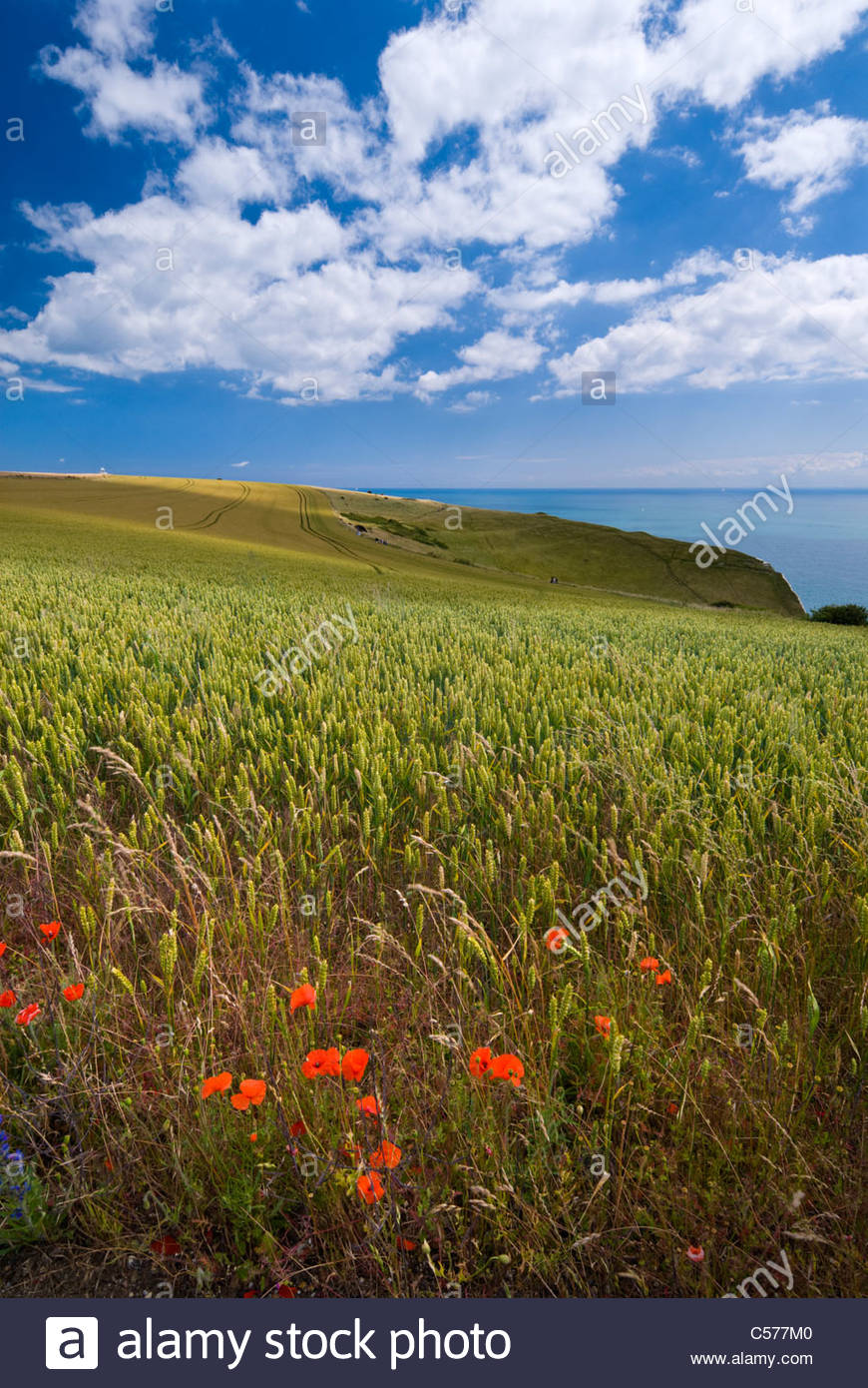 Kent East High Resolution Stock Photography and Images - Alamy