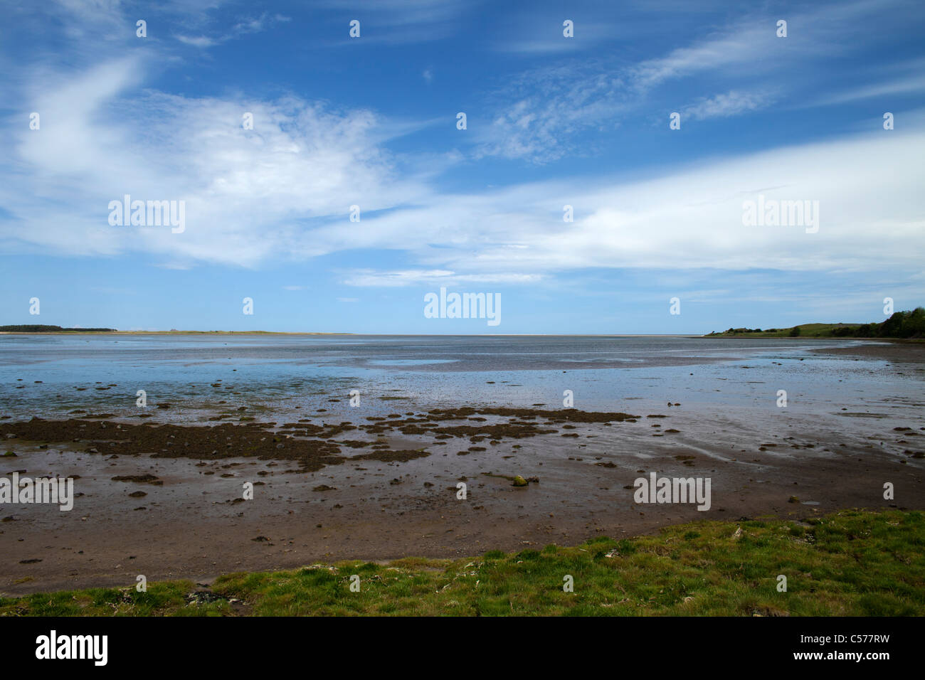 Budle Bay at low tide Stock Photo - Alamy