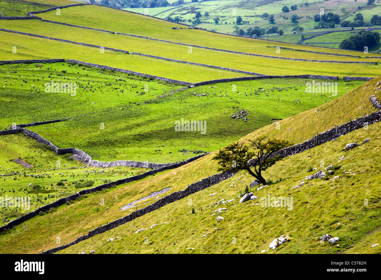 Malhamdale from Gordale Scar Yorkshire Dales England Stock Photo - Alamy