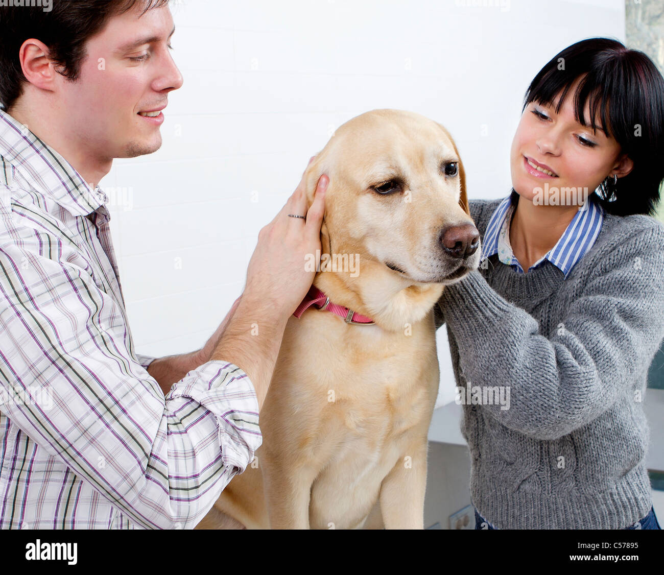 Couple petting a dog together Stock Photo - Alamy