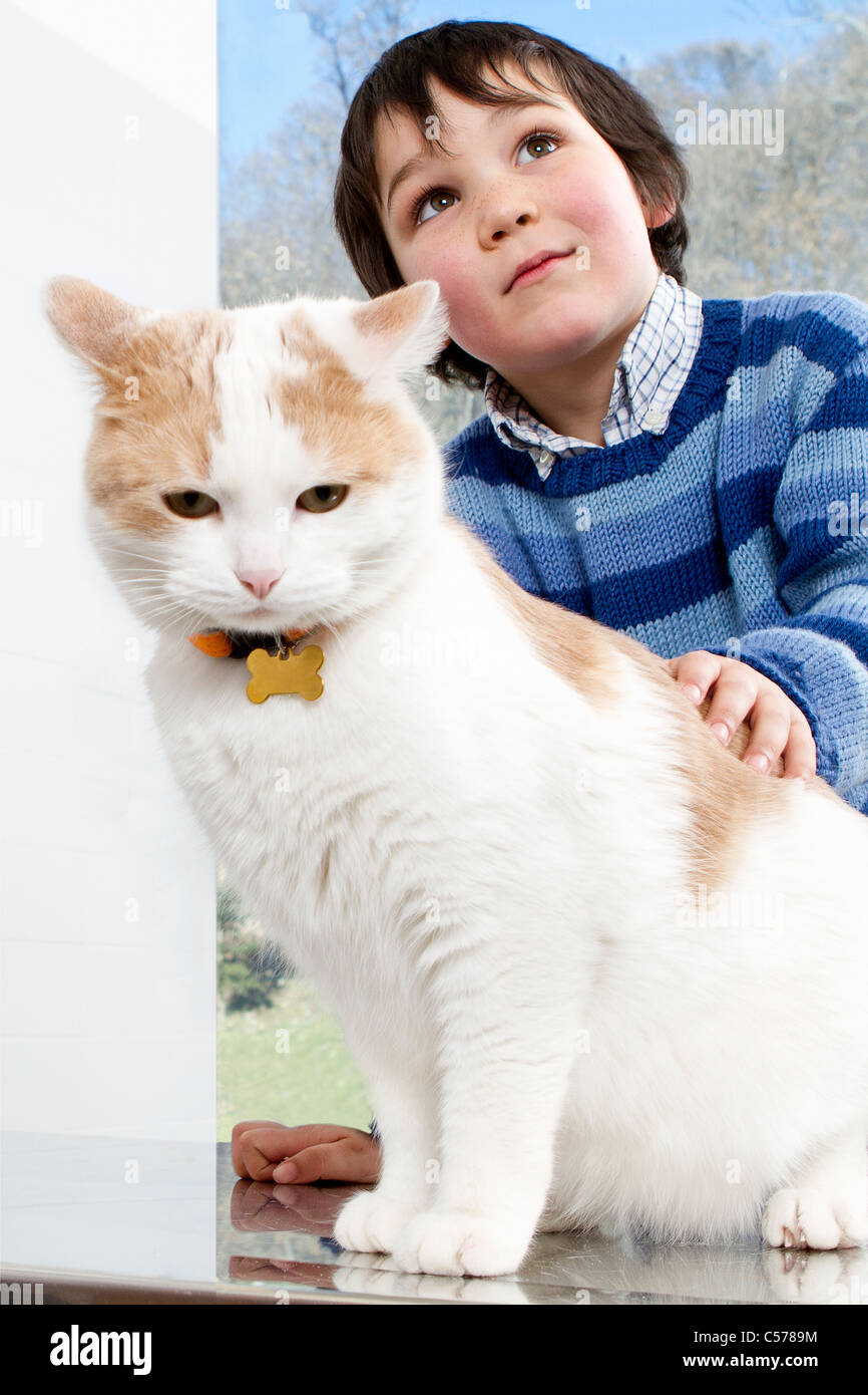 Boy petting his cat Stock Photo - Alamy