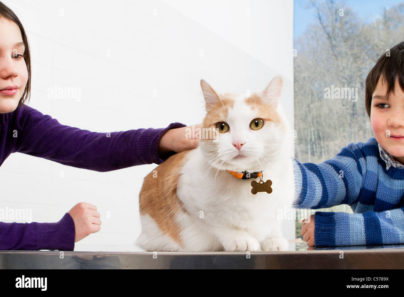 Children petting their cat Stock Photo - Alamy