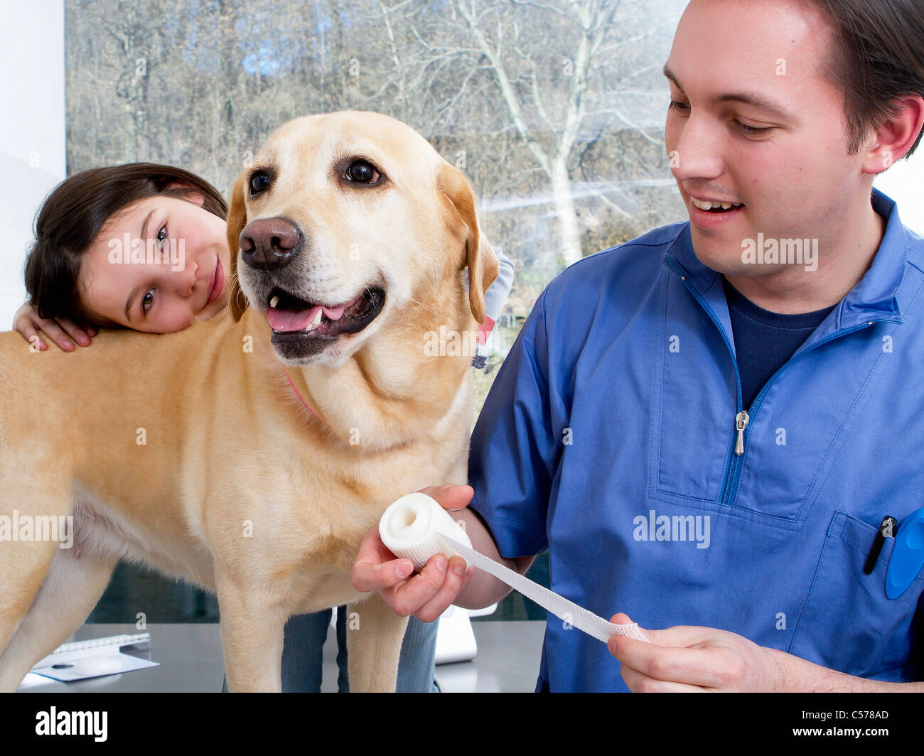 Vet working with girl and her dog Stock Photo - Alamy