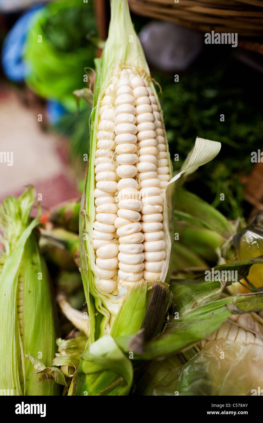 Large eared corn for sale in the market in Cajamarca in the northern ...