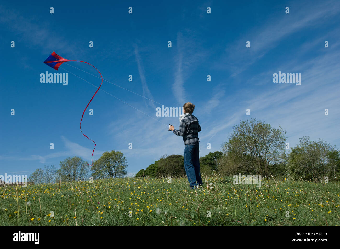 Boy flying a kite in field Stock Photo - Alamy