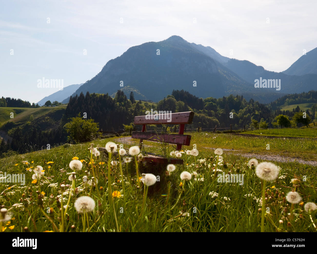 Park bench in rural field Stock Photo - Alamy