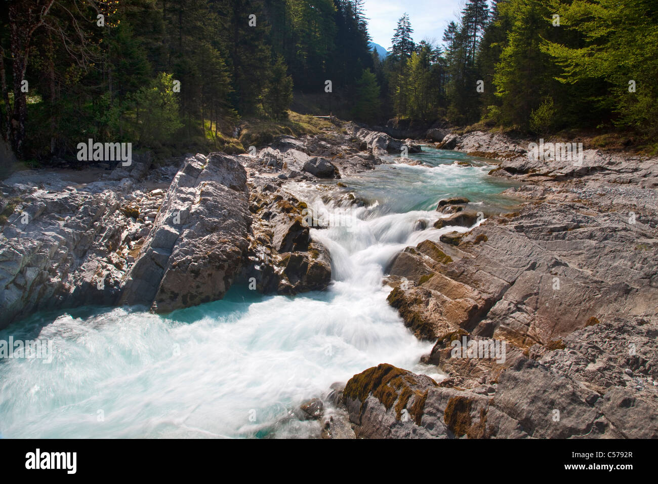 Creek in forest hi-res stock photography and images - Alamy