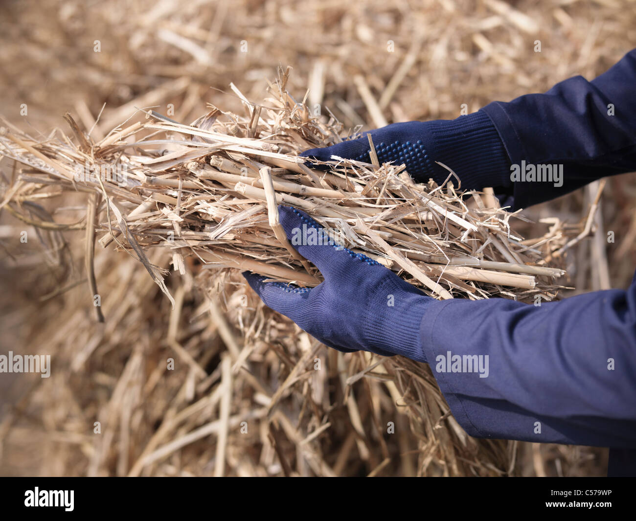 Biomass energy hi-res stock photography and images - Alamy