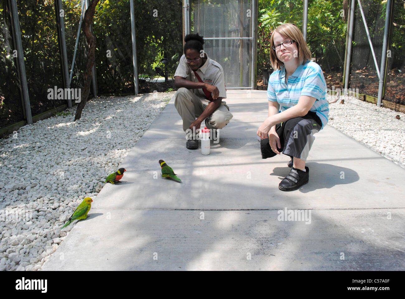 Tourist with parrots Stock Photo - Alamy