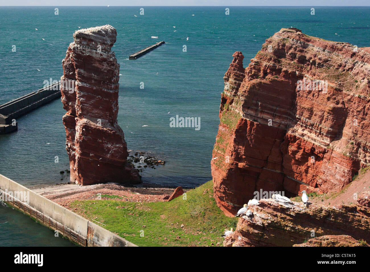 bird rock with landmark "Lange Anna" ("High Anna") on island Helgoland ...