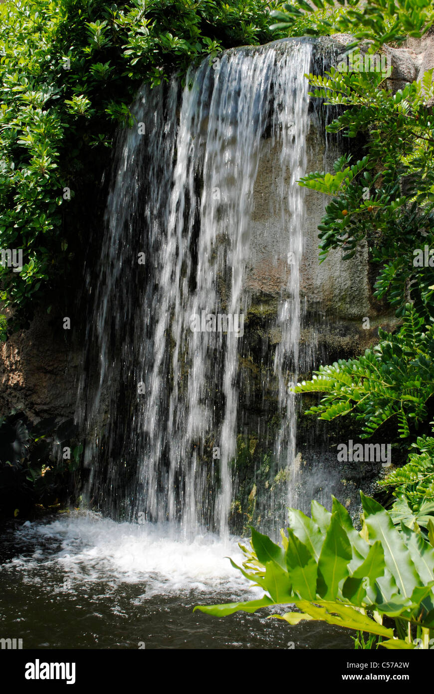 Miami waterfall nature hi-res stock photography and images - Alamy