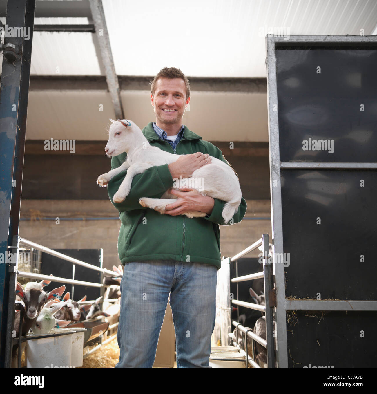 Man holding baby goat hi-res stock photography and images - Alamy