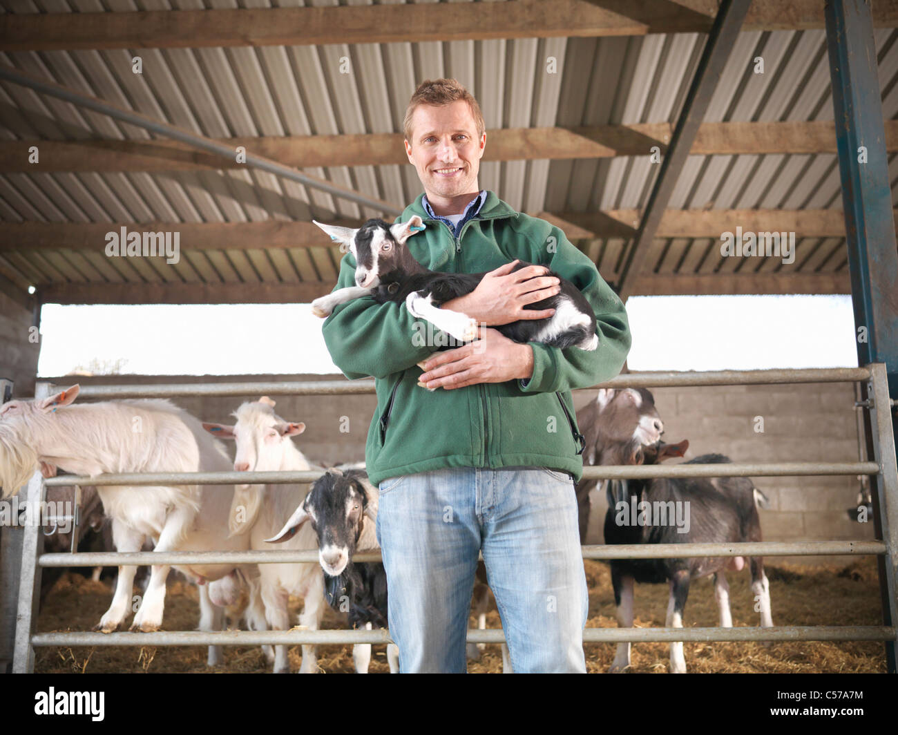 Farmer working and tending to the animals hi-res stock photography and ...
