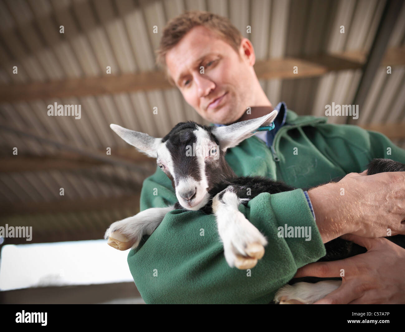 Man Holding Goat High Resolution Stock Photography and Images - Alamy