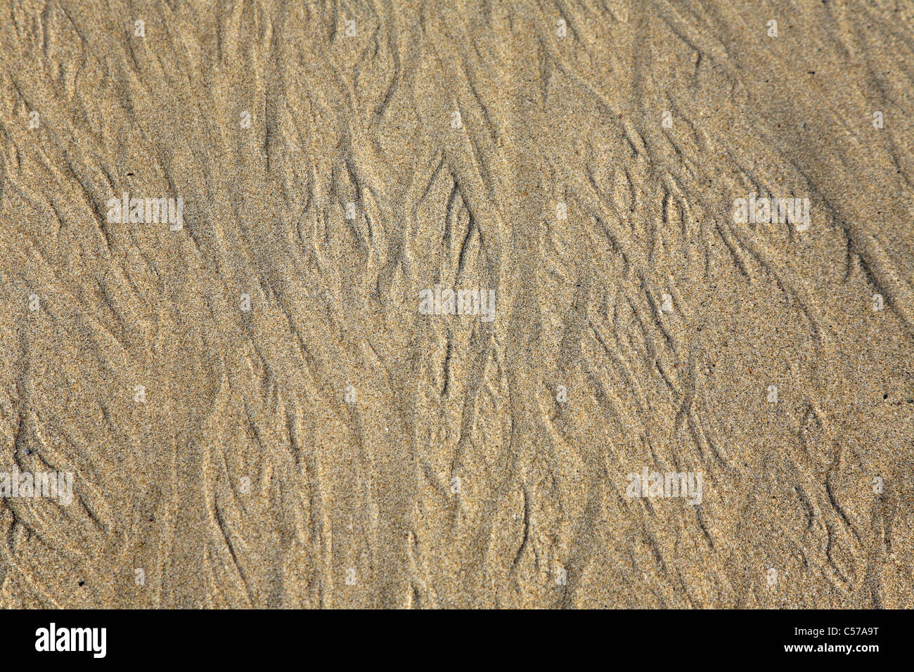 Ripples in sand on a beach Stock Photo - Alamy