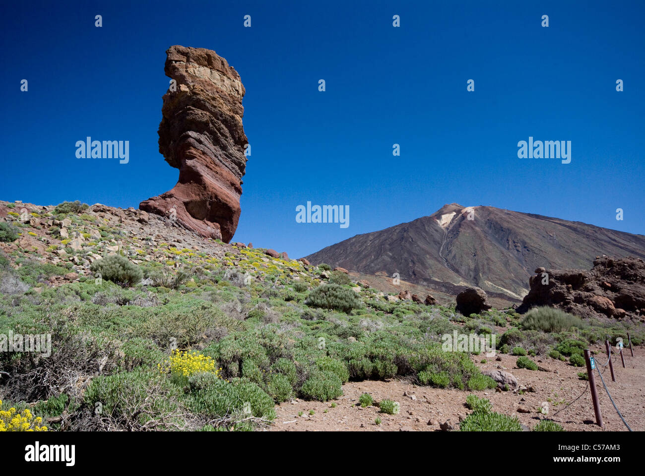 Tenerife mount teide hi-res stock photography and images - Alamy