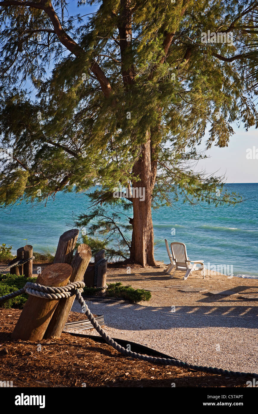 Quiet beach area with two chairs under a single tree overlooking a calm ...