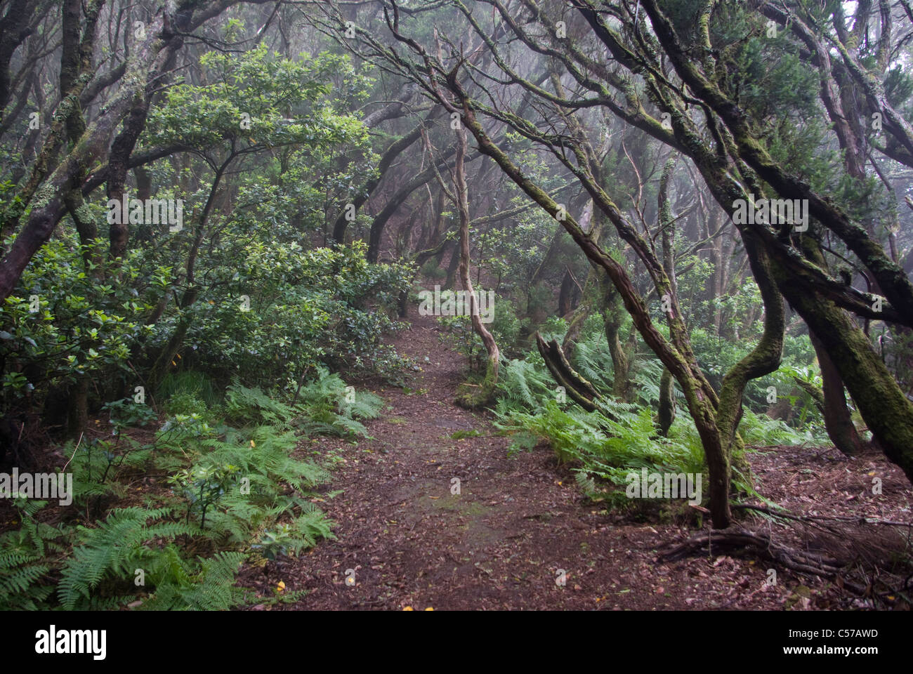 Las montanas de anaga hi-res stock photography and images - Alamy