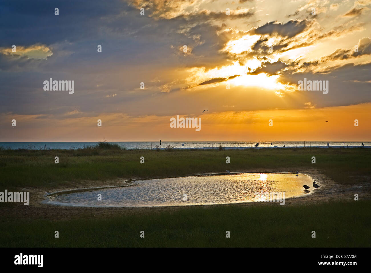Small island in a pond hi-res stock photography and images - Alamy