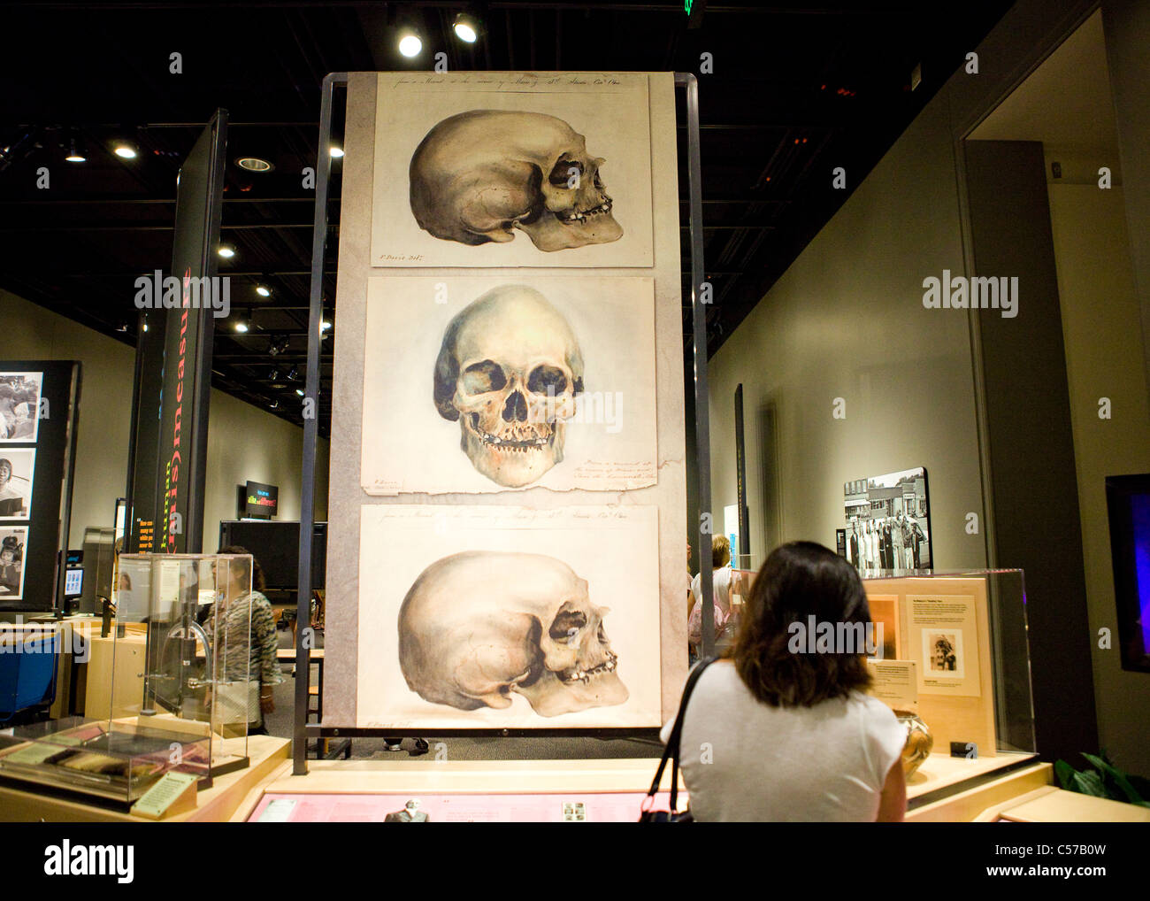 Human drawings hi-res stock photography and images - Alamy