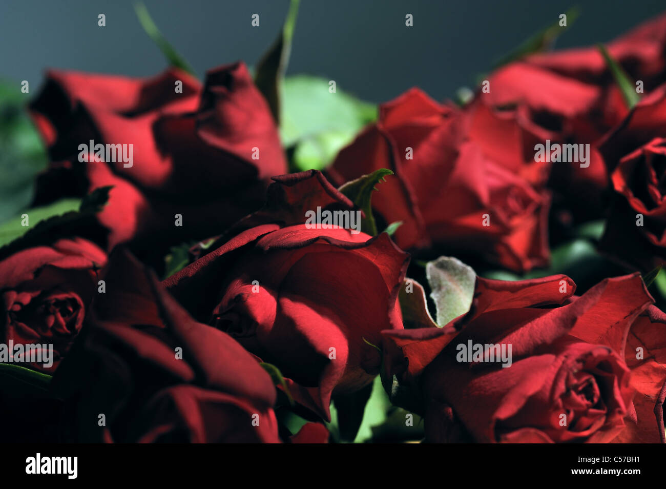 A bunch of roses Stock Photo - Alamy