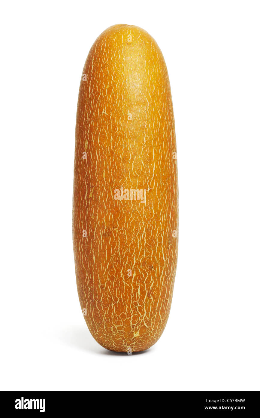 Chinese yellow cucumber standing on white background Stock Photo - Alamy