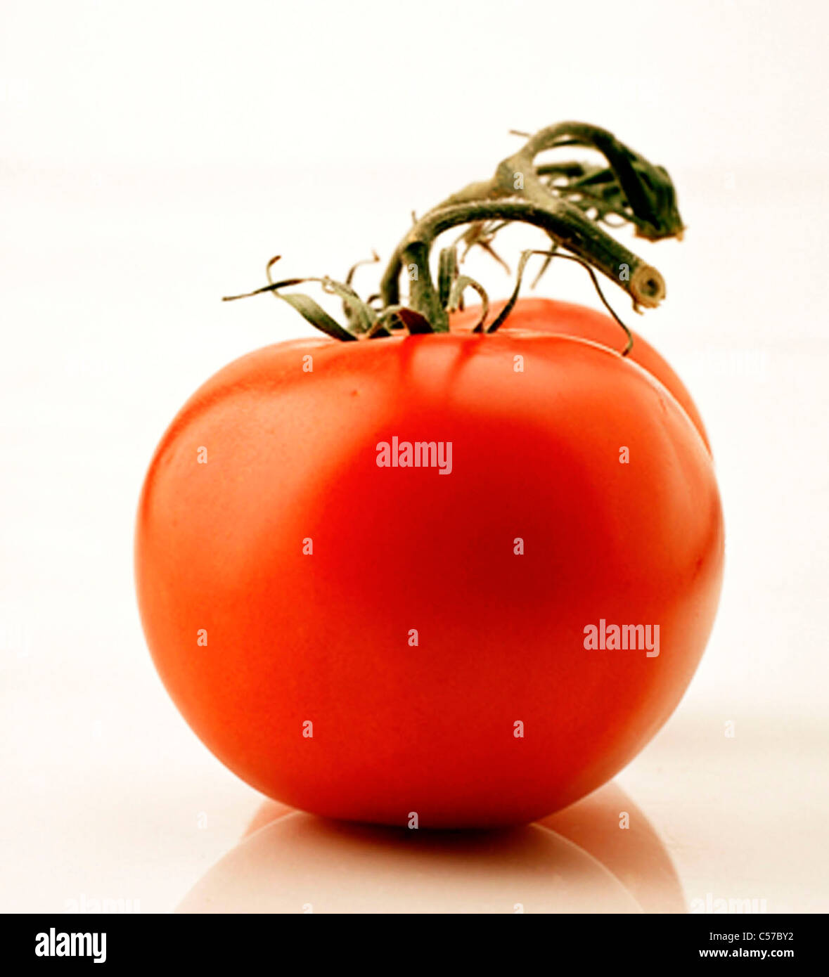 Red vine tomato, behind white background Stock Photo - Alamy