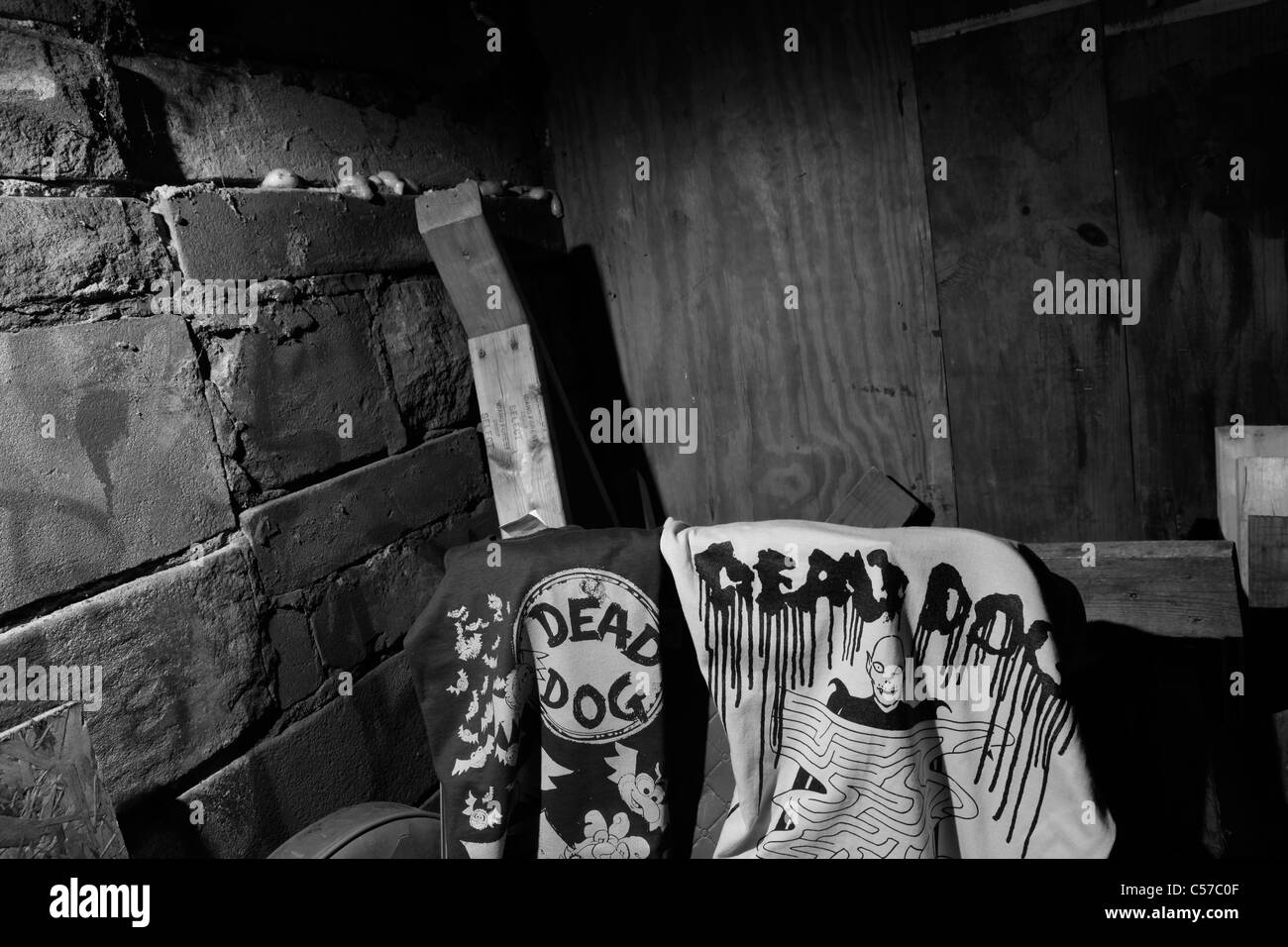 Punk rock dog hi-res stock photography and images - Alamy