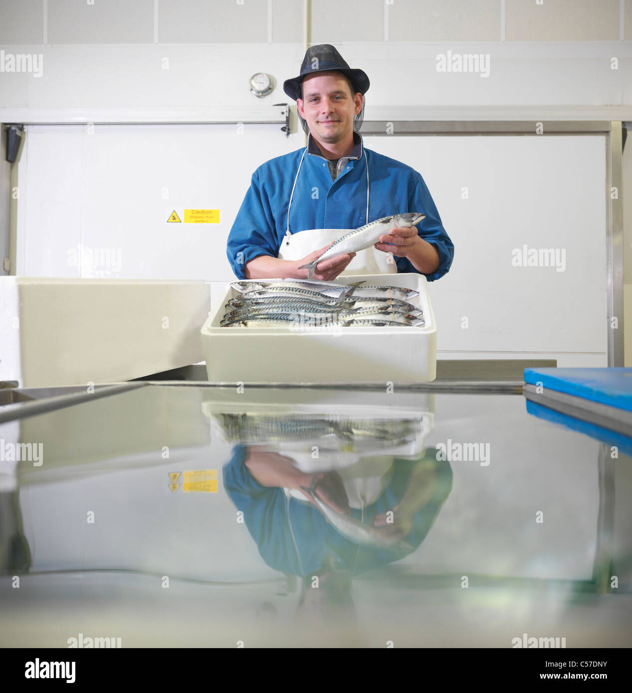 Packing fish hi-res stock photography and images - Alamy