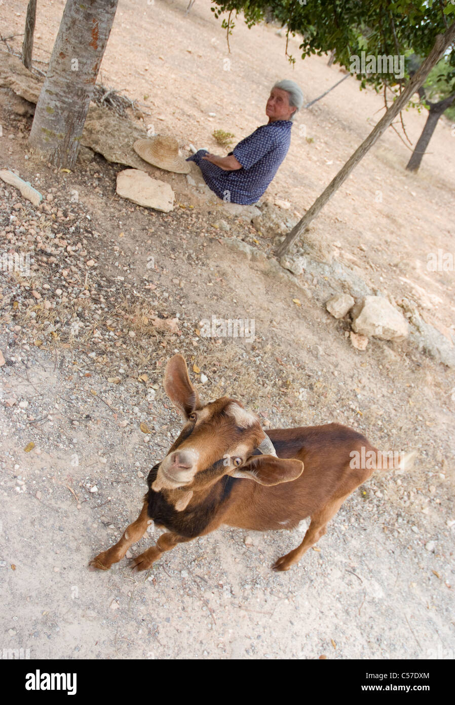 Lady of ibiza hi-res stock photography and images - Alamy