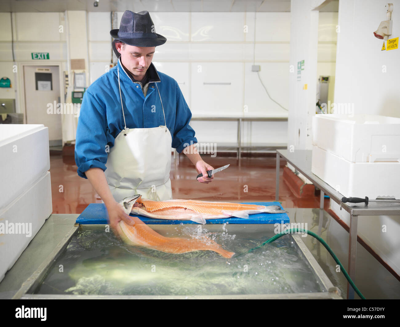 Slicing fresh whole salmon hi-res stock photography and images - Alamy