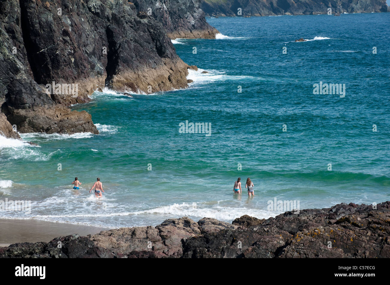 Bathers in the turquoise coloured sea at Kynance Cove, The Lizard ...