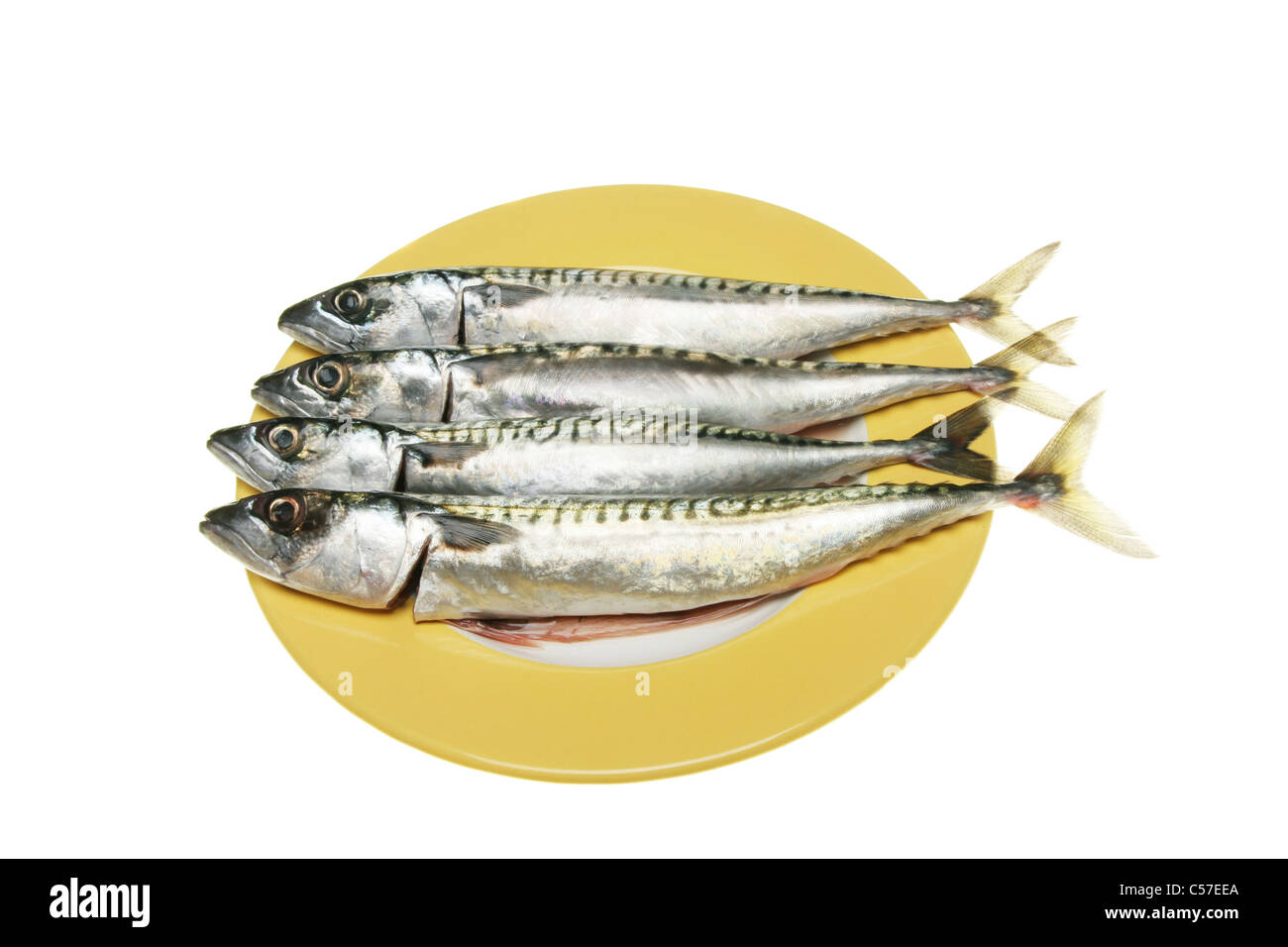 Four fresh mackerel fish on a plate Stock Photo - Alamy