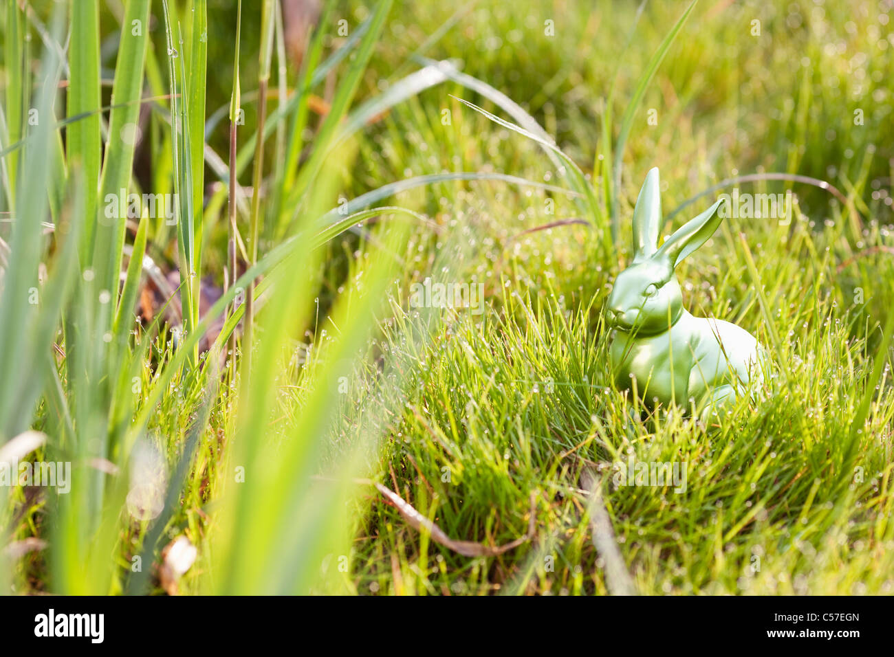 Easter bunny hidden in long grass Stock Photo - Alamy
