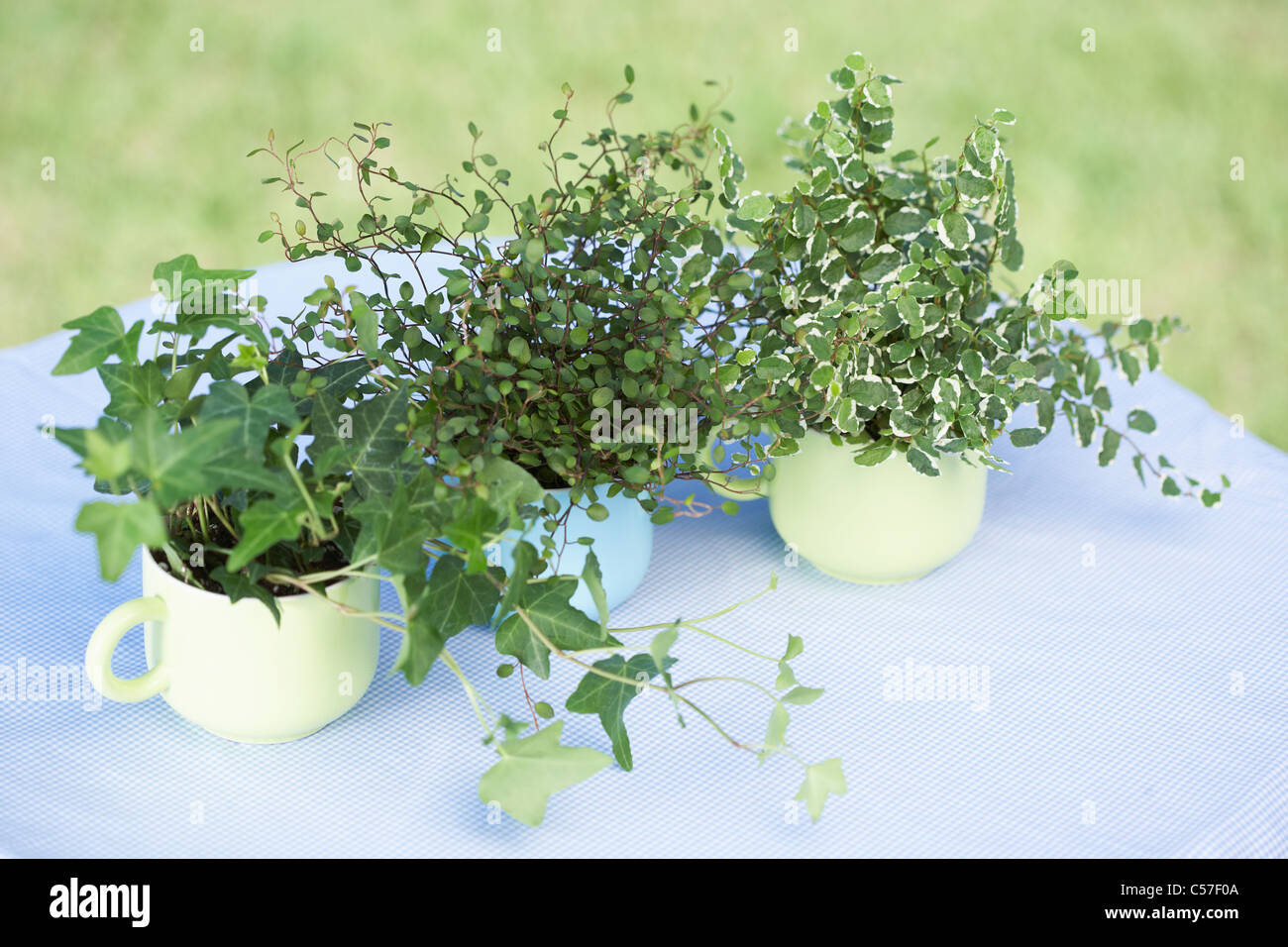 Three objects hi-res stock photography and images - Alamy