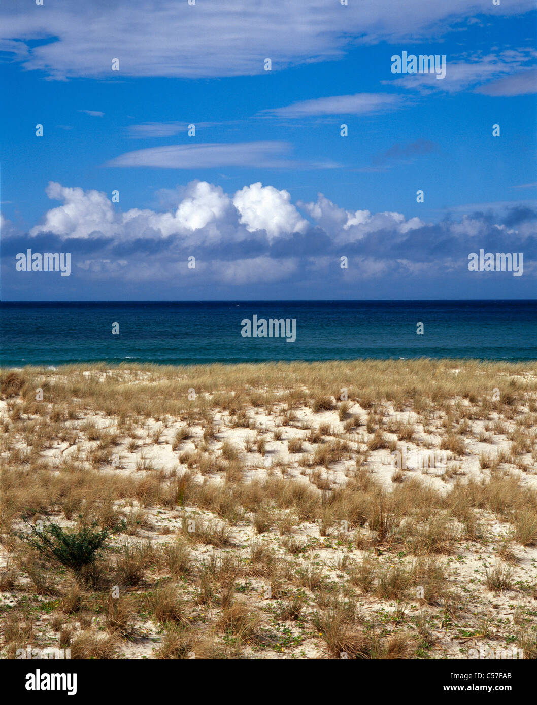 Omaha Beach, New Zealand Stock Photo - Alamy