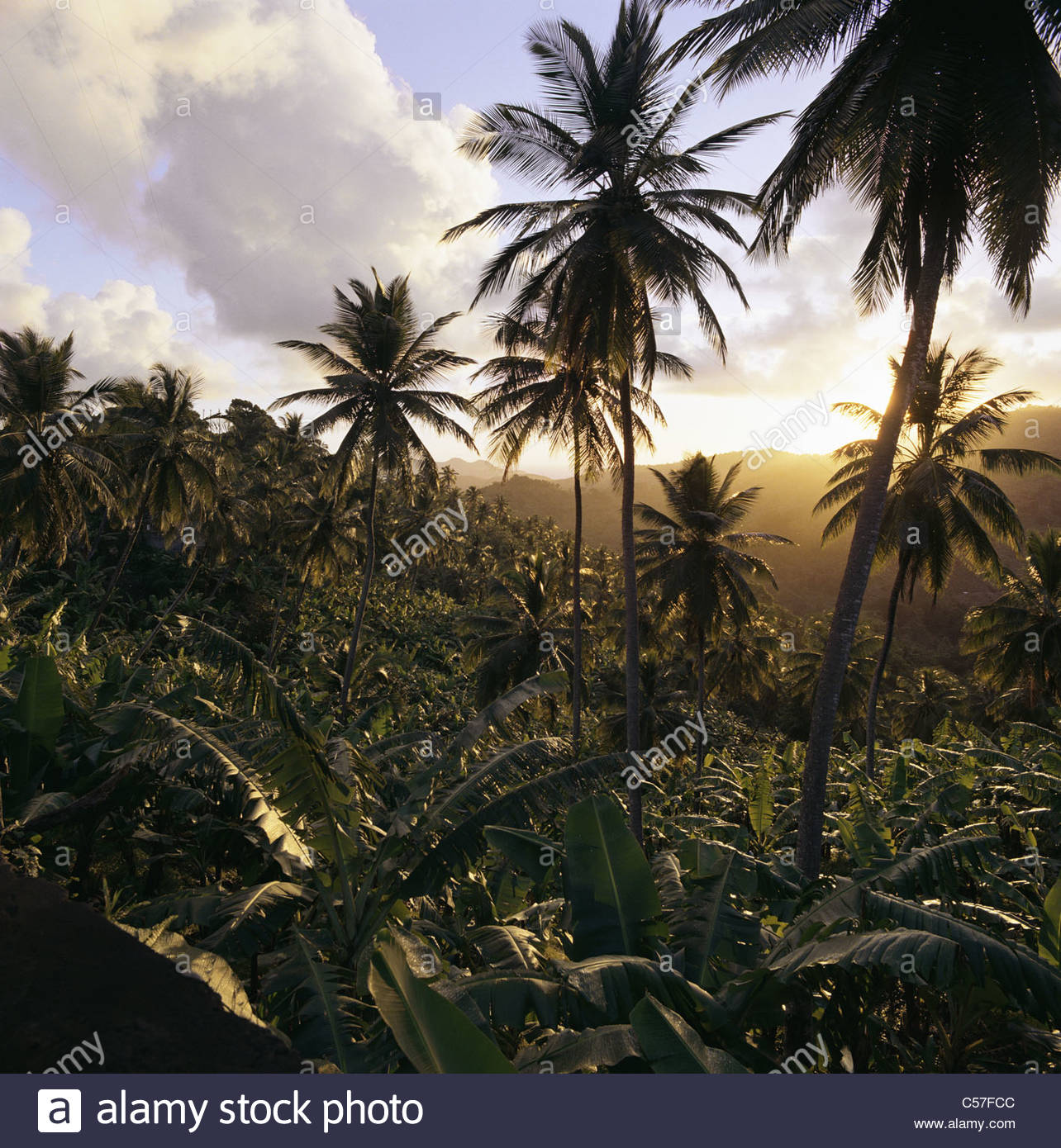 Rural Landscape Image Stock Photos & Rural Landscape Image Stock Images ...