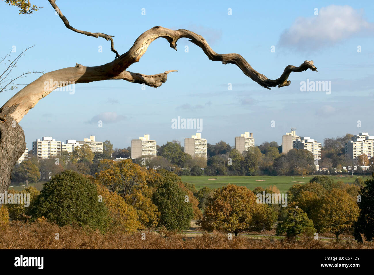 Alton Estate, Roehampton, Wandsworth, England, 1952-9 Stock Photo - Alamy