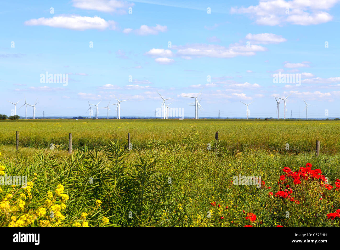 Romney Marsh Wind Farm Kent England UK GB Stock Photo - Alamy