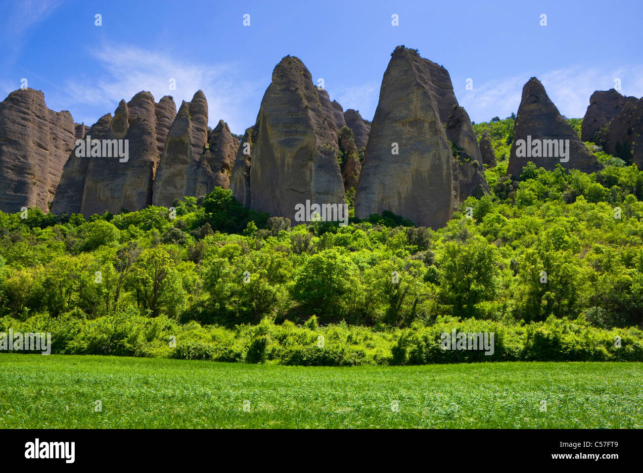 Mees hi-res stock photography and images - Alamy