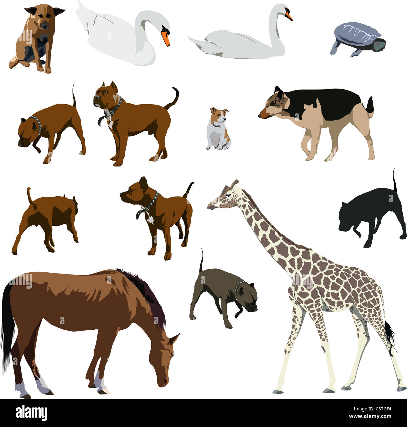 Set of animal vector illustratins. Horse, dog, giraffe, turtle, swan ...