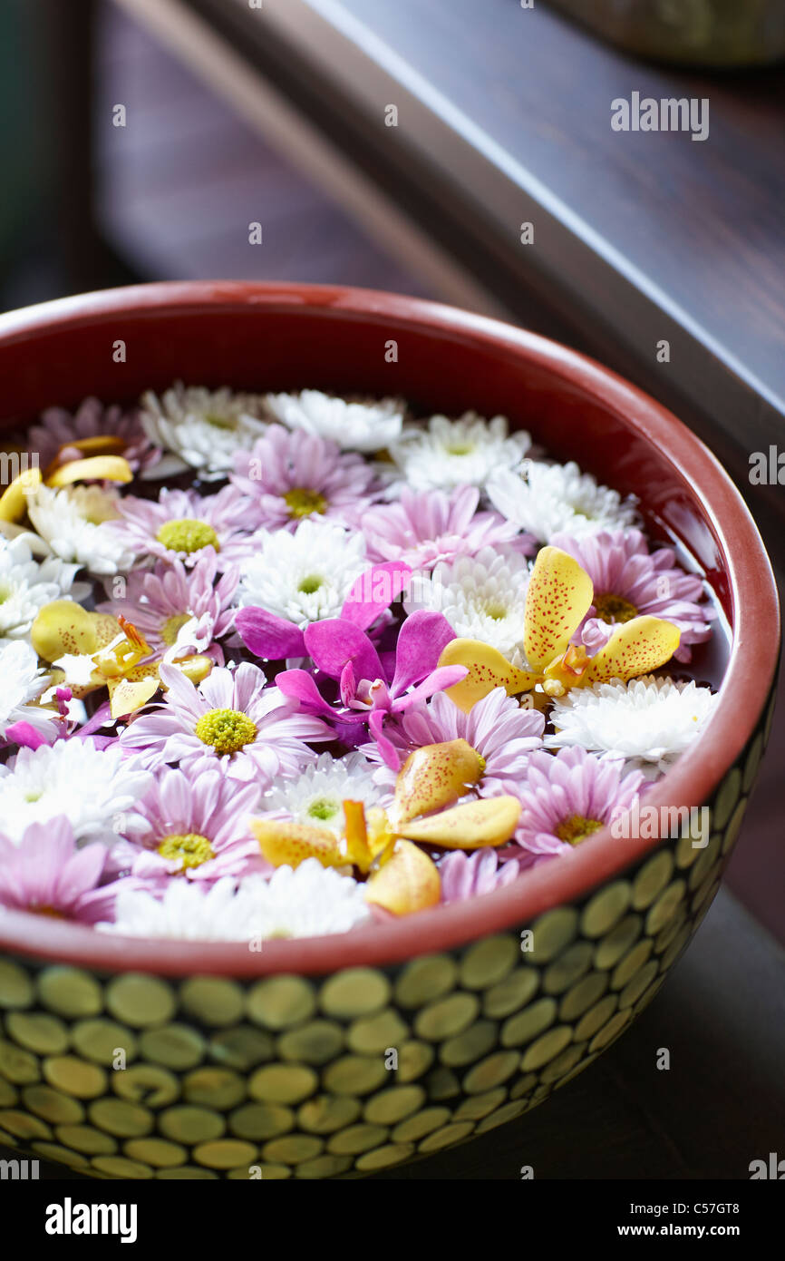 flower blossoms in bowl Stock Photo - Alamy