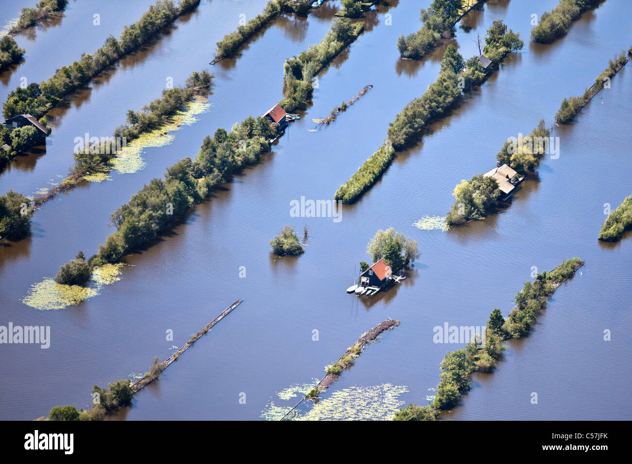 The Netherlands, Breukelen, Dugged out land in marsh. Aquatic sports ...