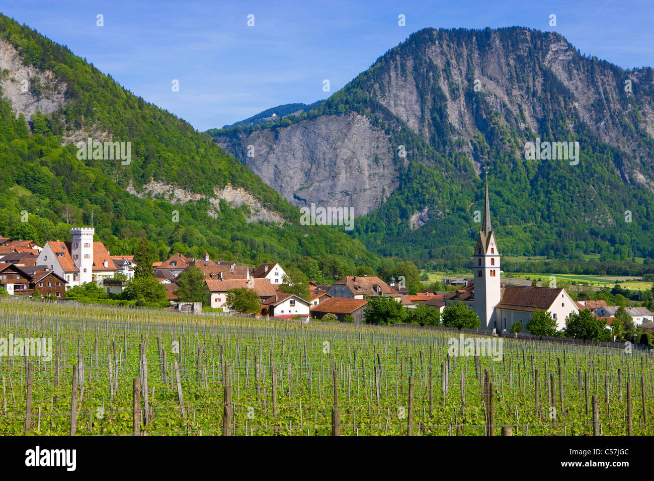 Malans, Switzerland, Europe, canton Graubunden, grisons, Bundner ...